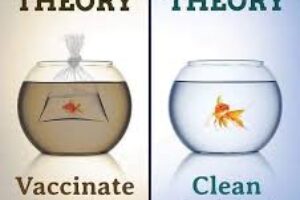 Structured Water Units | Structured Water Filters | Greenfield Water ...